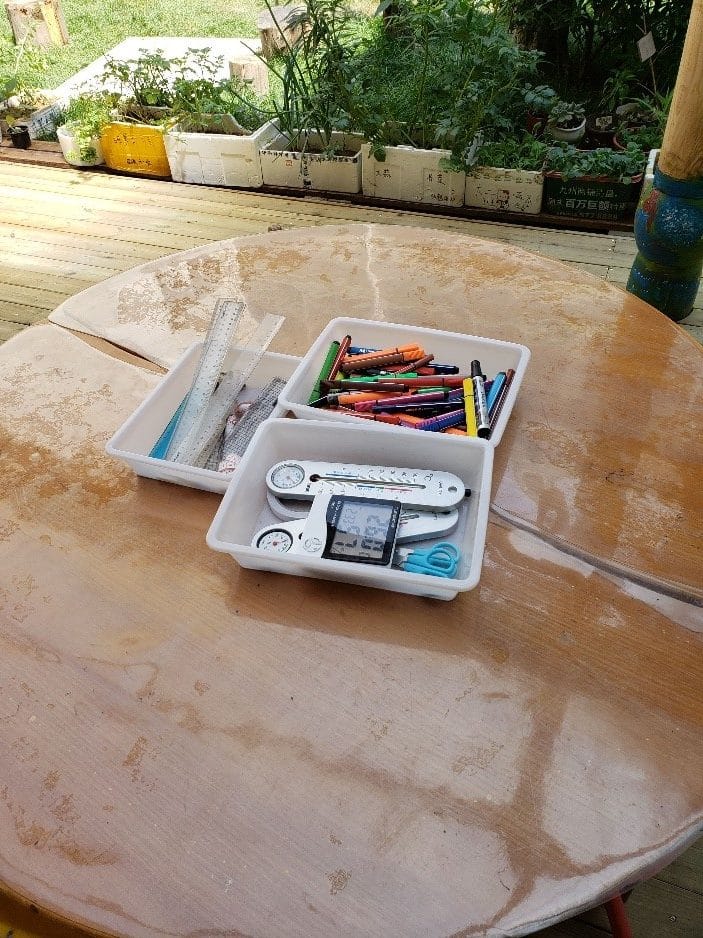 What Are True Play Environments and What Do They Look Like?